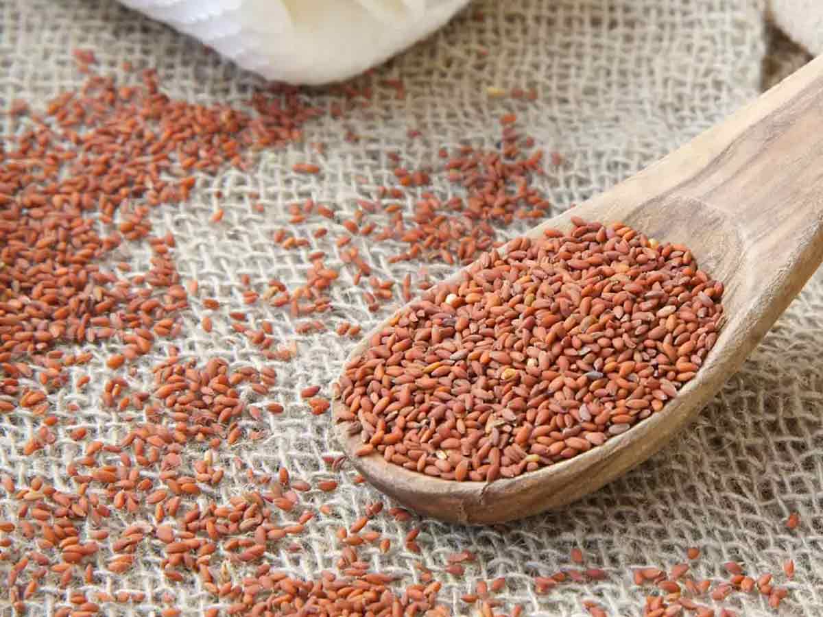 Aliv Seeds: 7 Miraculous Health Benefits you must know