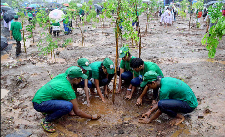 Haryana govt. gives ₹50 incentive to students for tree plantation ...