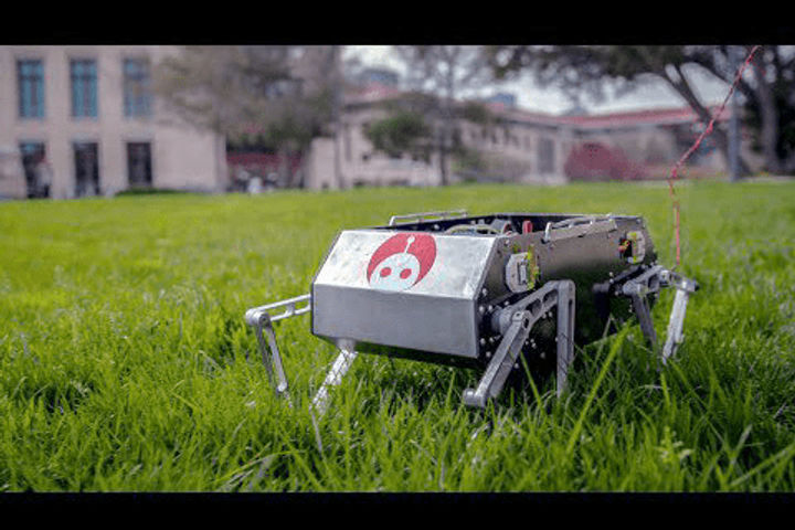 Stanford Doggo can jump, walk and flip like a dog, students share video ...