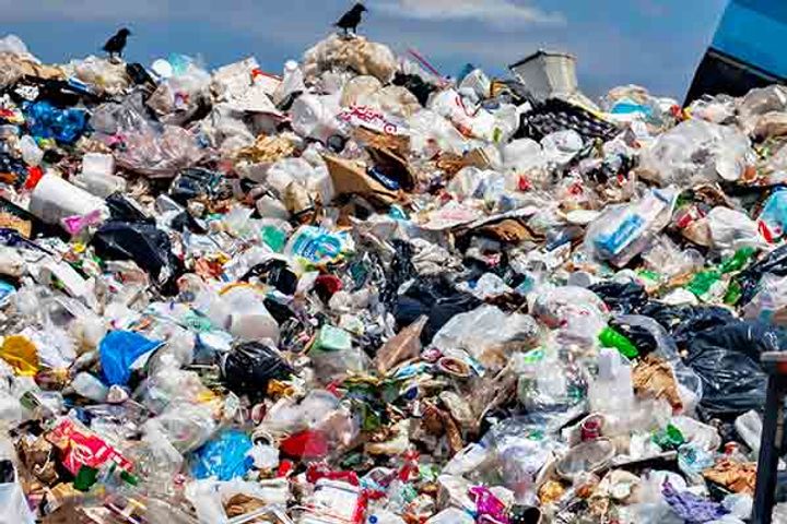 Know more about the Single use plastic and how it affects the ...