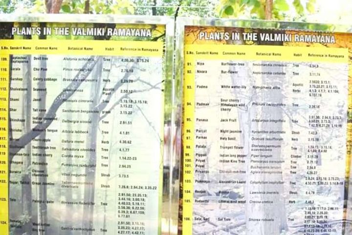 World's first ‘Green’ Ramayana Park developed in Uttarakhand, has plant ...