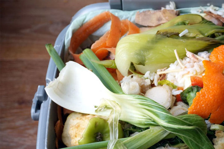 Climate disaster as 2.5 billion tons of food disposed by farms ...