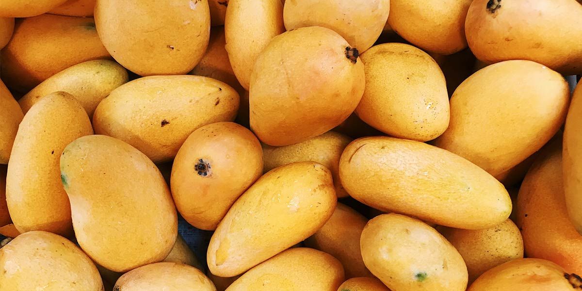 Philippine National Fruit Mango